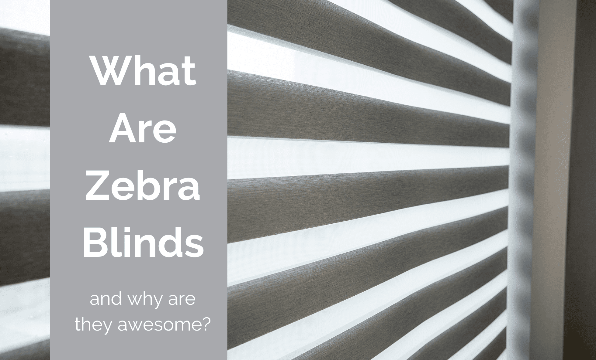 What are Zebra Blinds? - BlindsByTuiss Blog